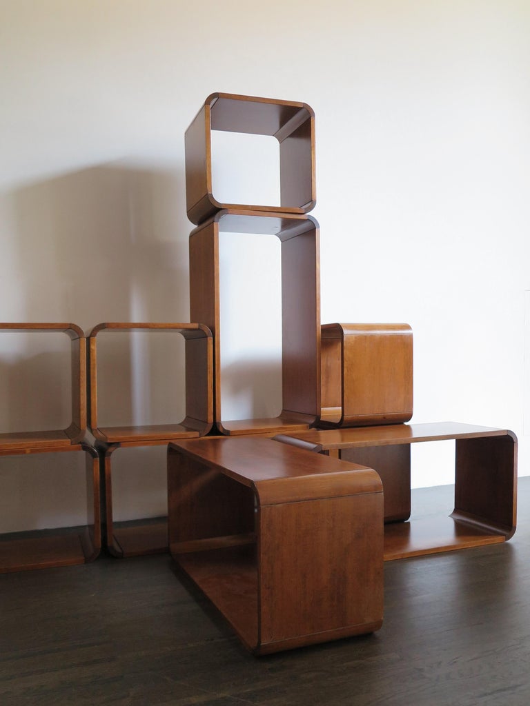 Italian Walnut Mid-Century Bookcase Modular Modules, 1950s at 1stDibs
