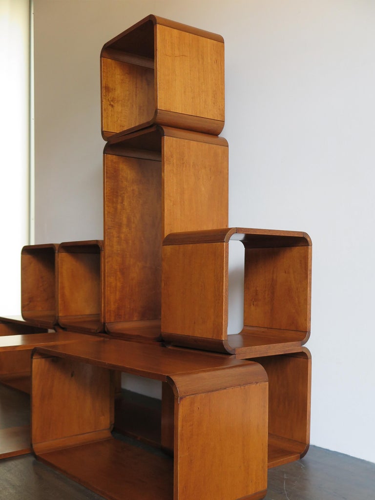 Italian Walnut Mid-Century Bookcase Modular Modules, 1950s at 1stDibs