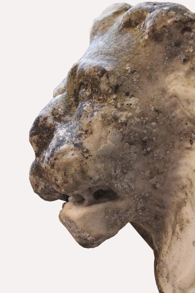 Italian White Carrara Marble Sculpture of a Lion, Northern Italy, 17th ...