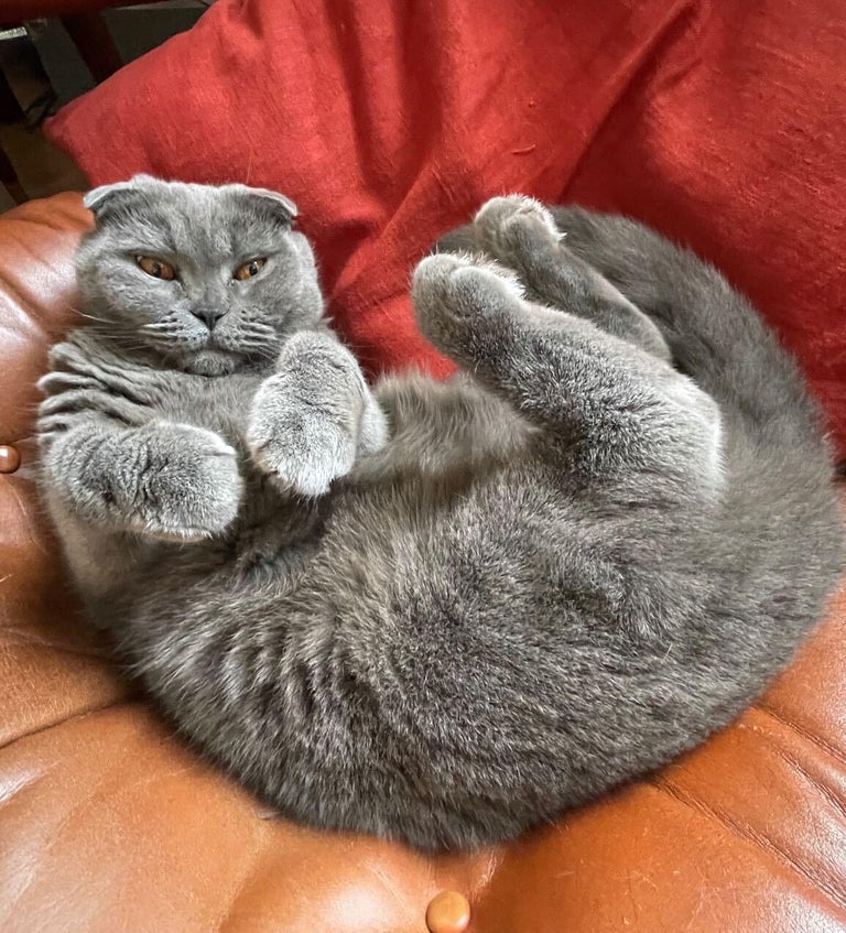 Item title I have name For Sale at 1stDibs