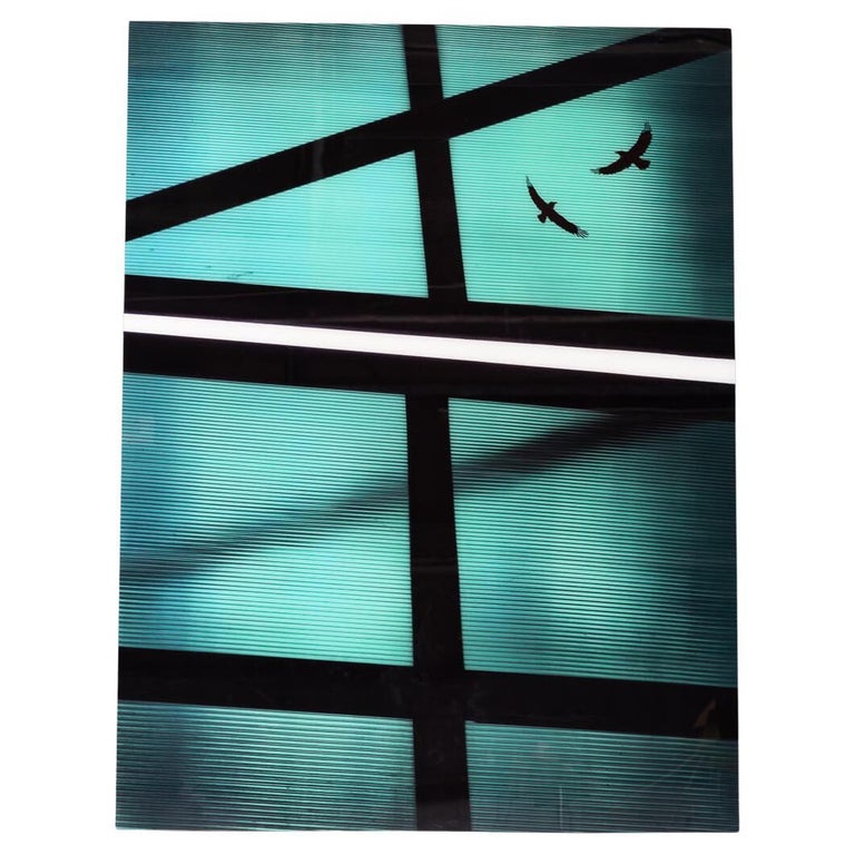 Ivana Vostrakova ‘birds’ Photographic Art Work For Sale at 1stDibs