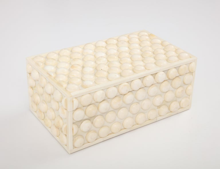 Ivory Bone Document Box For Sale at 1stDibs