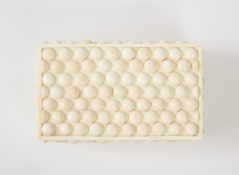 Ivory Bone Document Box For Sale at 1stDibs