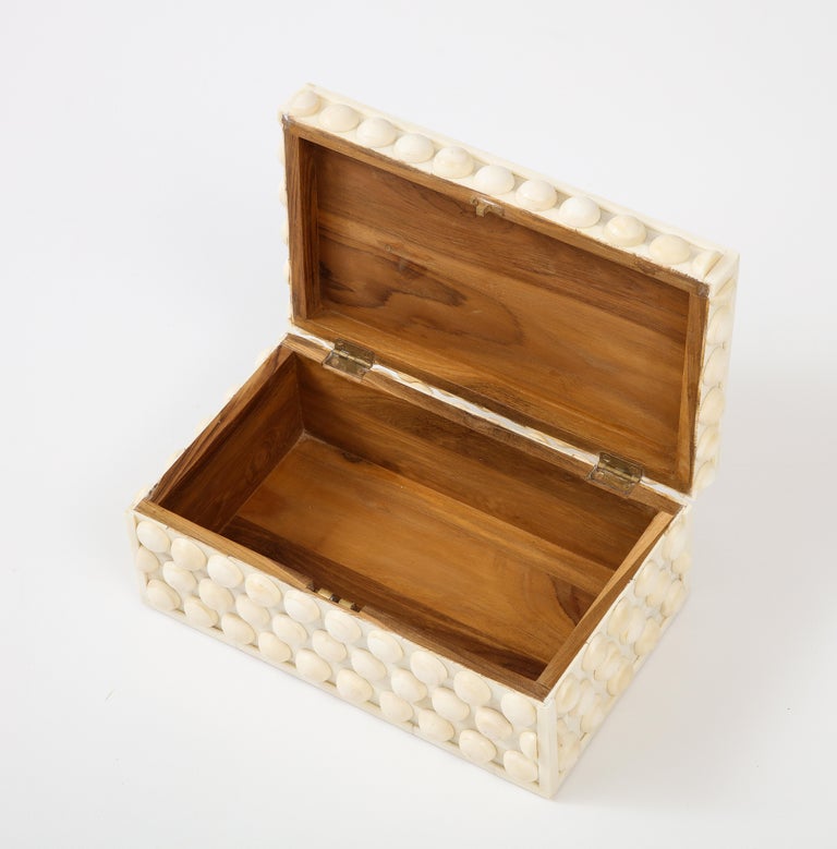 Ivory Bone Document Box For Sale at 1stDibs