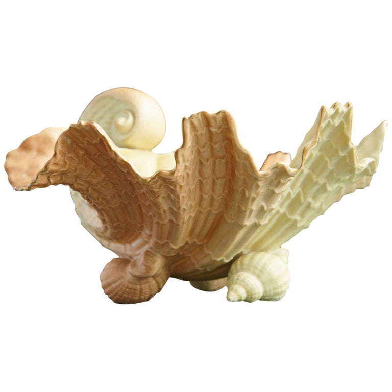 Ivory Open Faced Porcelain Shell Bowl on Three Conch Feet, Royal ...