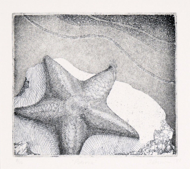 J Brown - Starfish Etching in Ink on Paper (#8/16) For Sale at 1stDibs