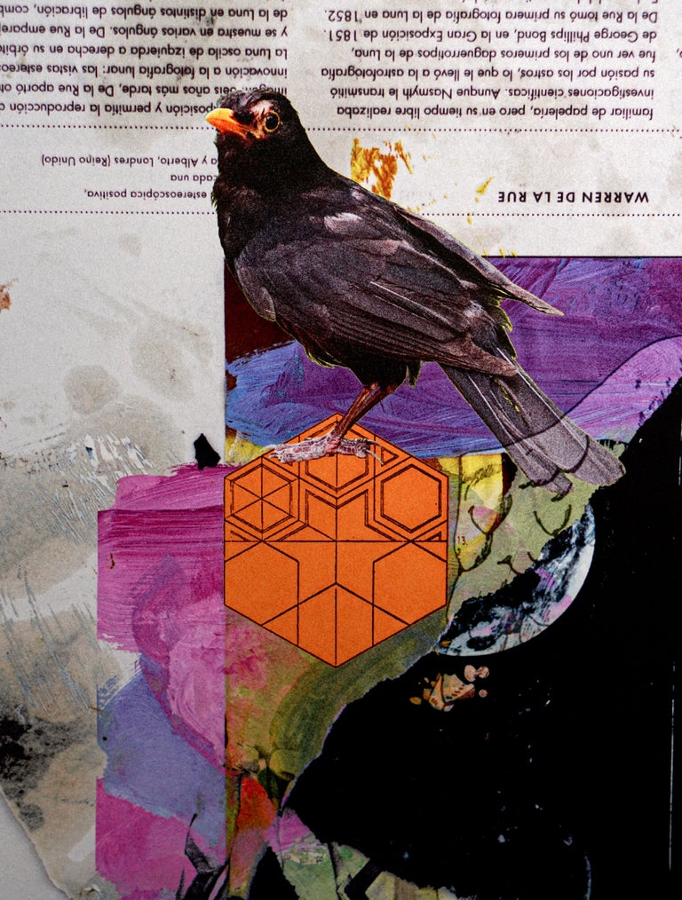 J Mateo Cabrera - Of The Bird That Knew How To Reach Infinity And ...