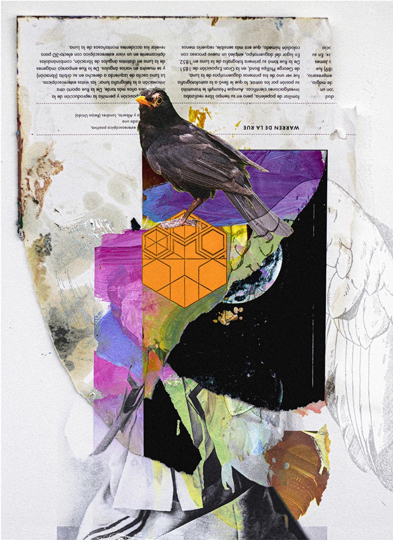 J Mateo Cabrera - Of The Bird That Knew How To Reach Infinity And ...