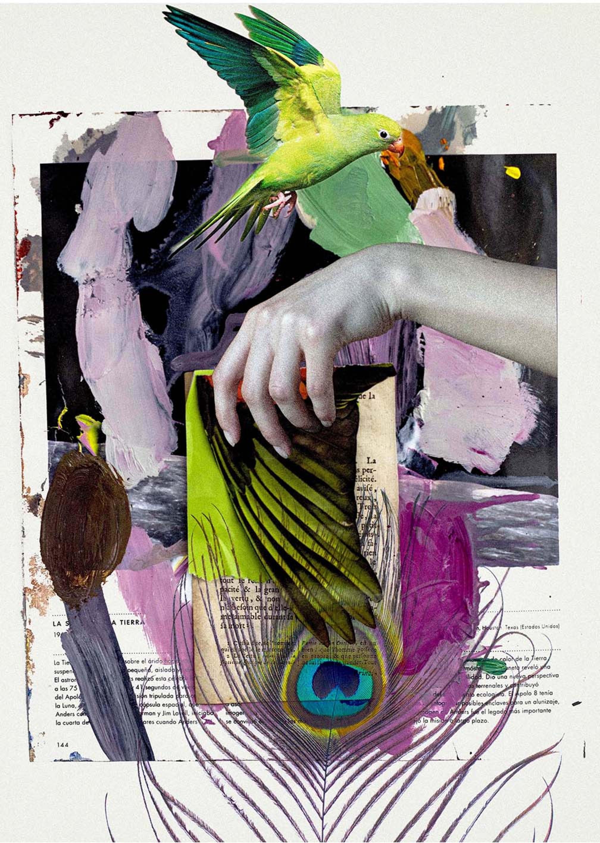 J Mateo Cabrera - Unconventional Stairway To Heaven (Ed. /12) For Sale ...
