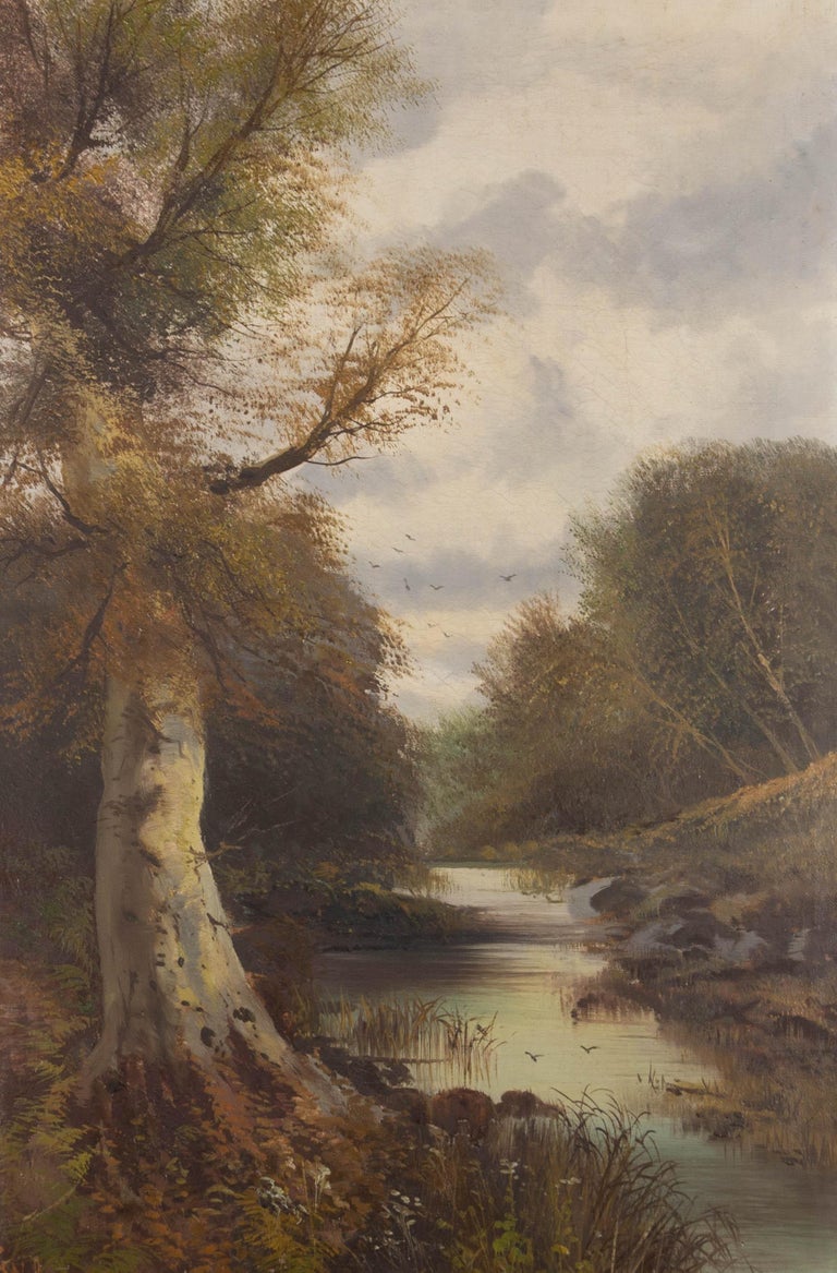 J. Williamson - J. Williamson - Early 20th Century Oil, Silver Beech on ...