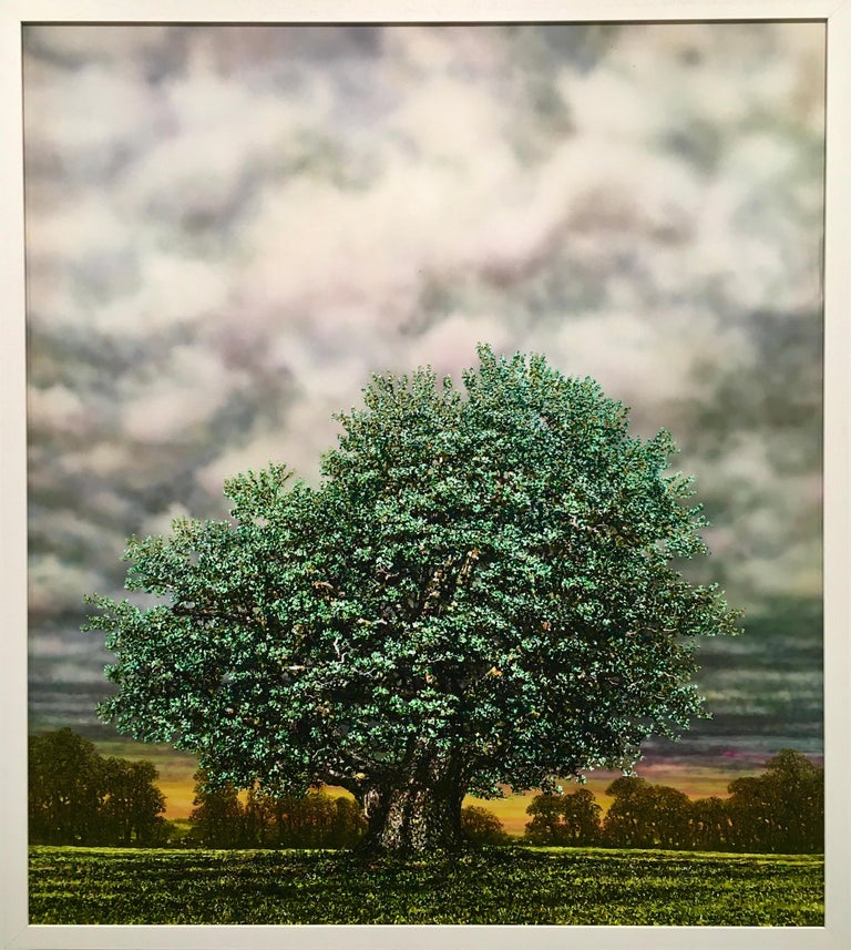 Jack Frame - The Helmsman Oak - Contemporary Landscape Painting by Jack ...