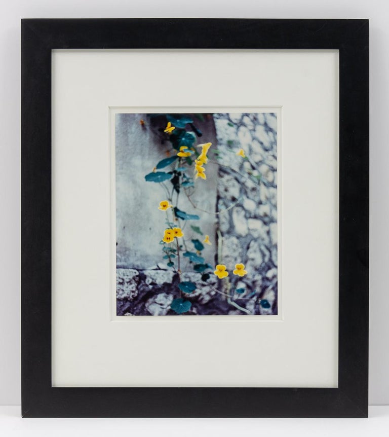 Jack Pierson - F.L.D. For Sale at 1stDibs