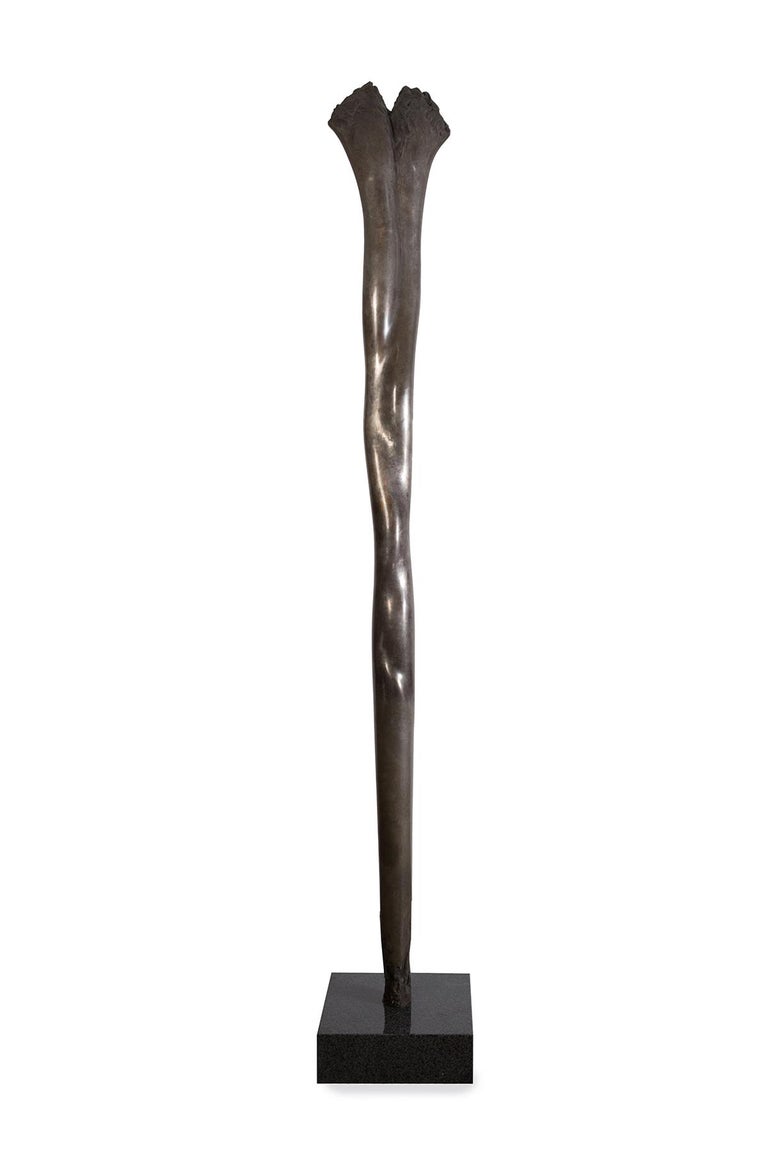 Jack Zajac Bronze "Falling Water" Sculpture 'Santa Cruz Series' at 1stDibs