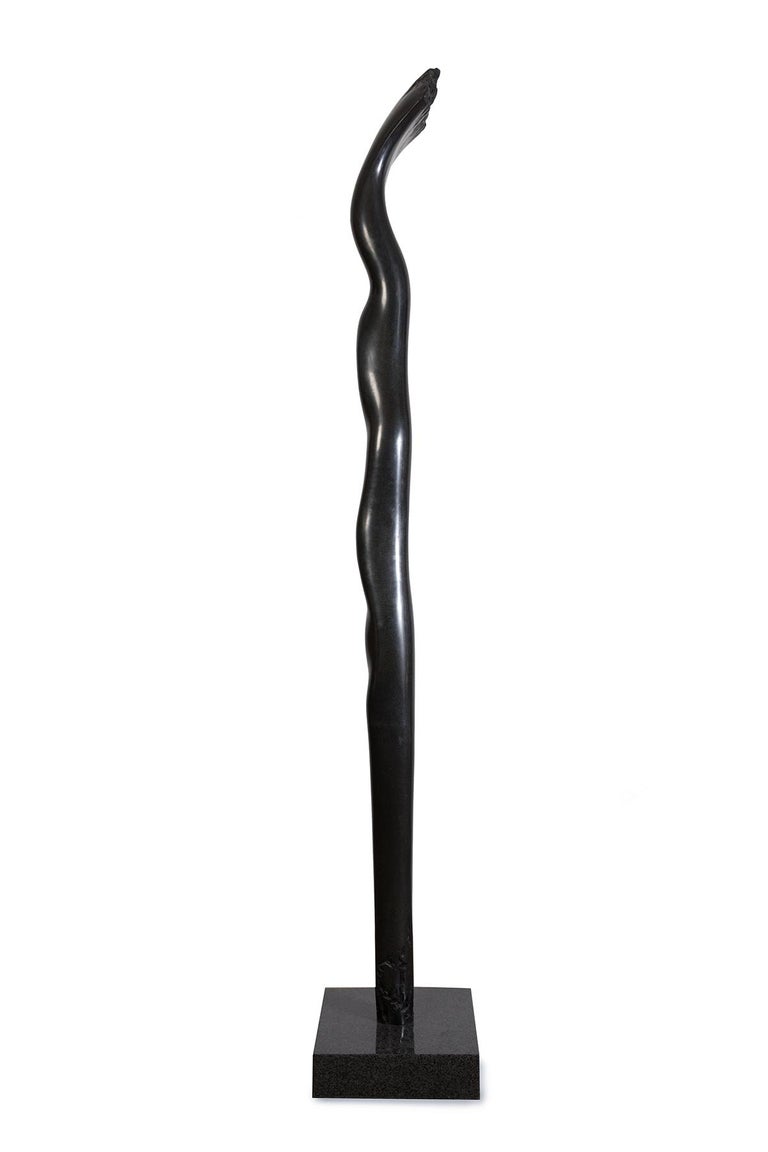 Jack Zajac "Falling Water" Dark Patinated Bronze 'Santa Cruz Series ...