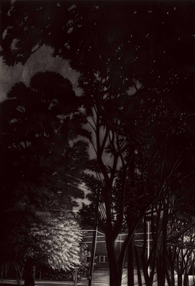 Jacob Crook - Spill (A canopy of crepe myrtle trees dominate this deep ...