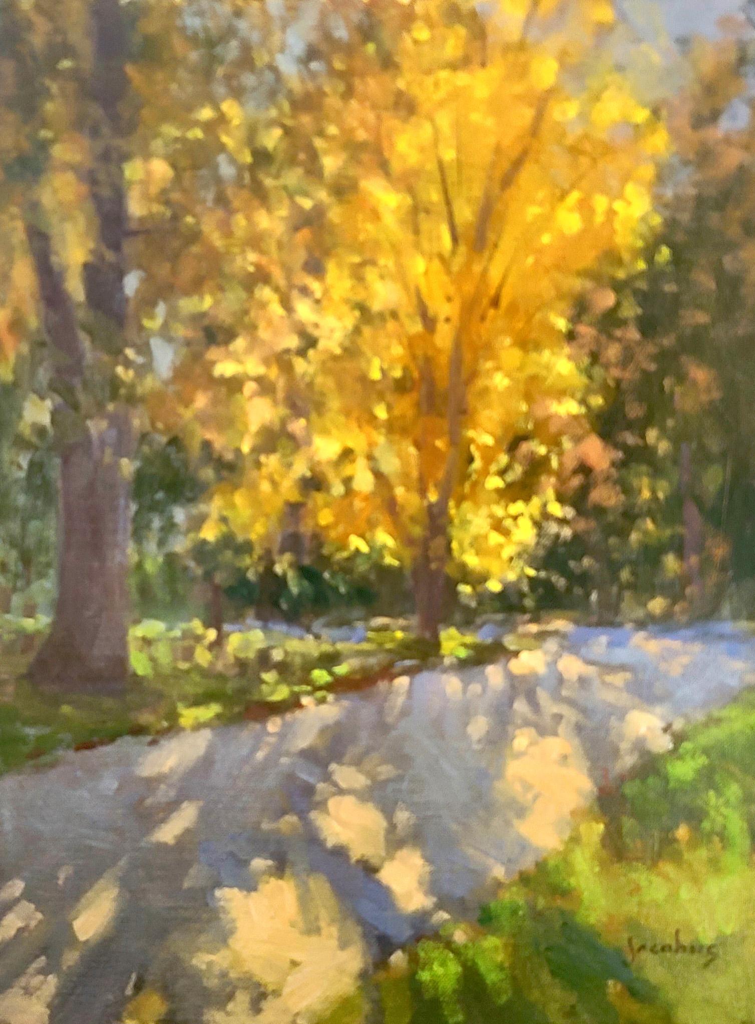 Jacobus Baas - "Autumn Shadows" Sunny Maine Scene For Sale at 1stDibs