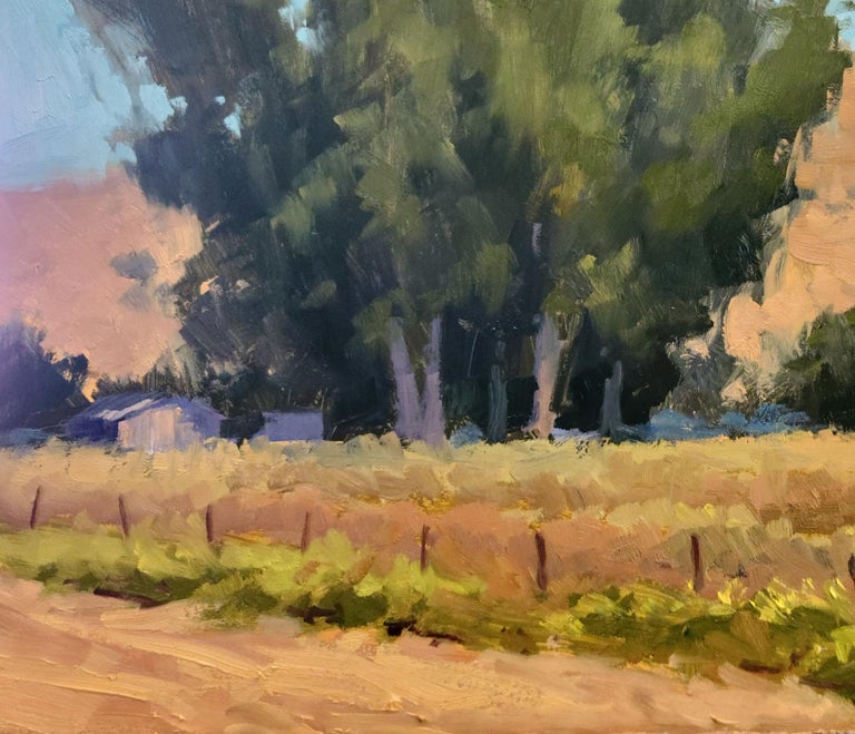 Jacobus Baas - "Tall Eucalyptus, Santa Ynez" California Wine Country ...