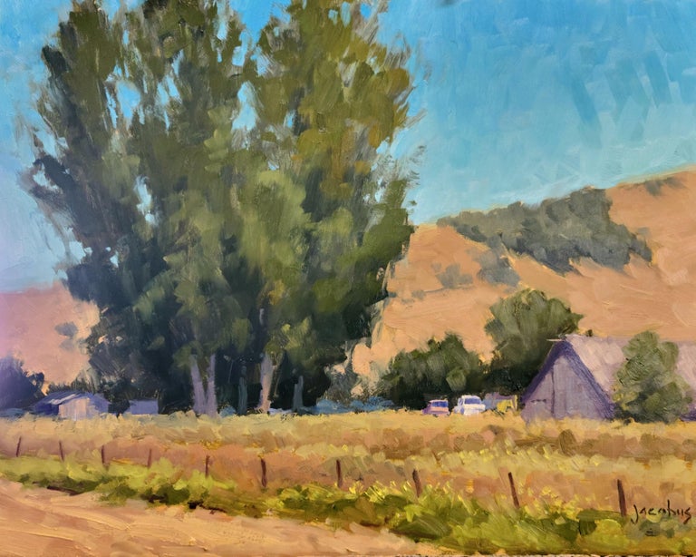 Jacobus Baas - "Tall Eucalyptus, Santa Ynez" California Wine Country ...