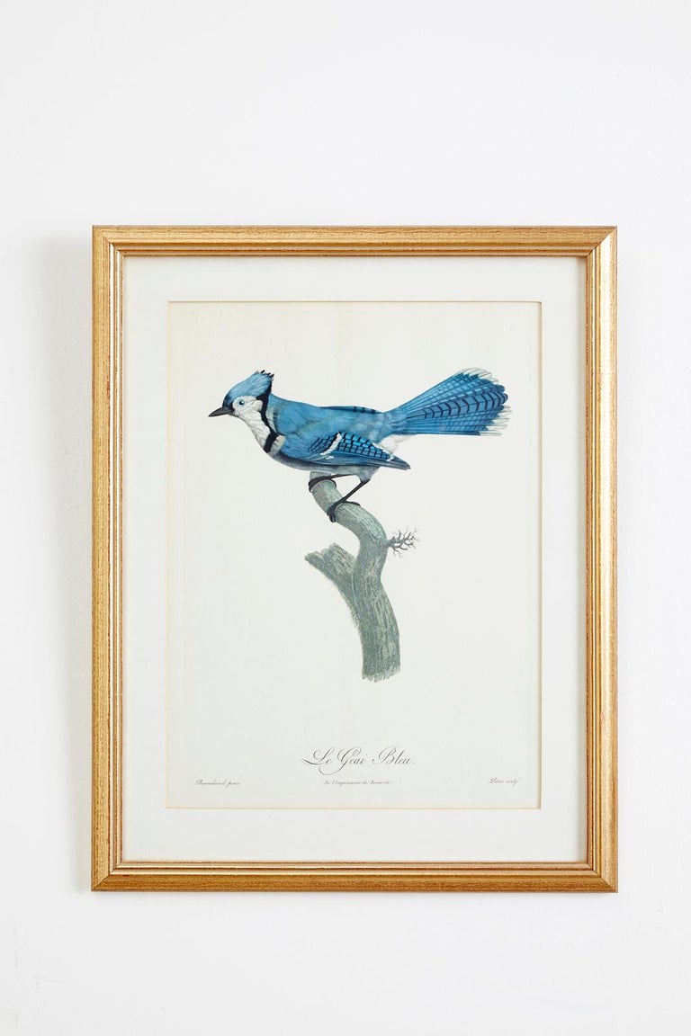 Jacques Barraband - Set of 16 Hand Colored Etchings at 1stDibs