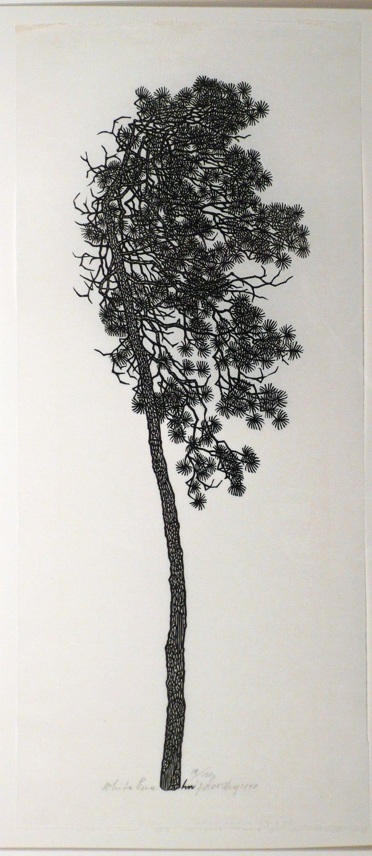 Jacques Hnizdovsky - WHITE PINE at 1stDibs
