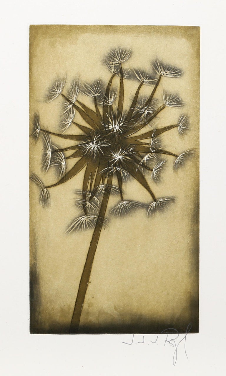 Jacques Joachim Jean Rigal - Herbier Portfolio For Sale at 1stDibs