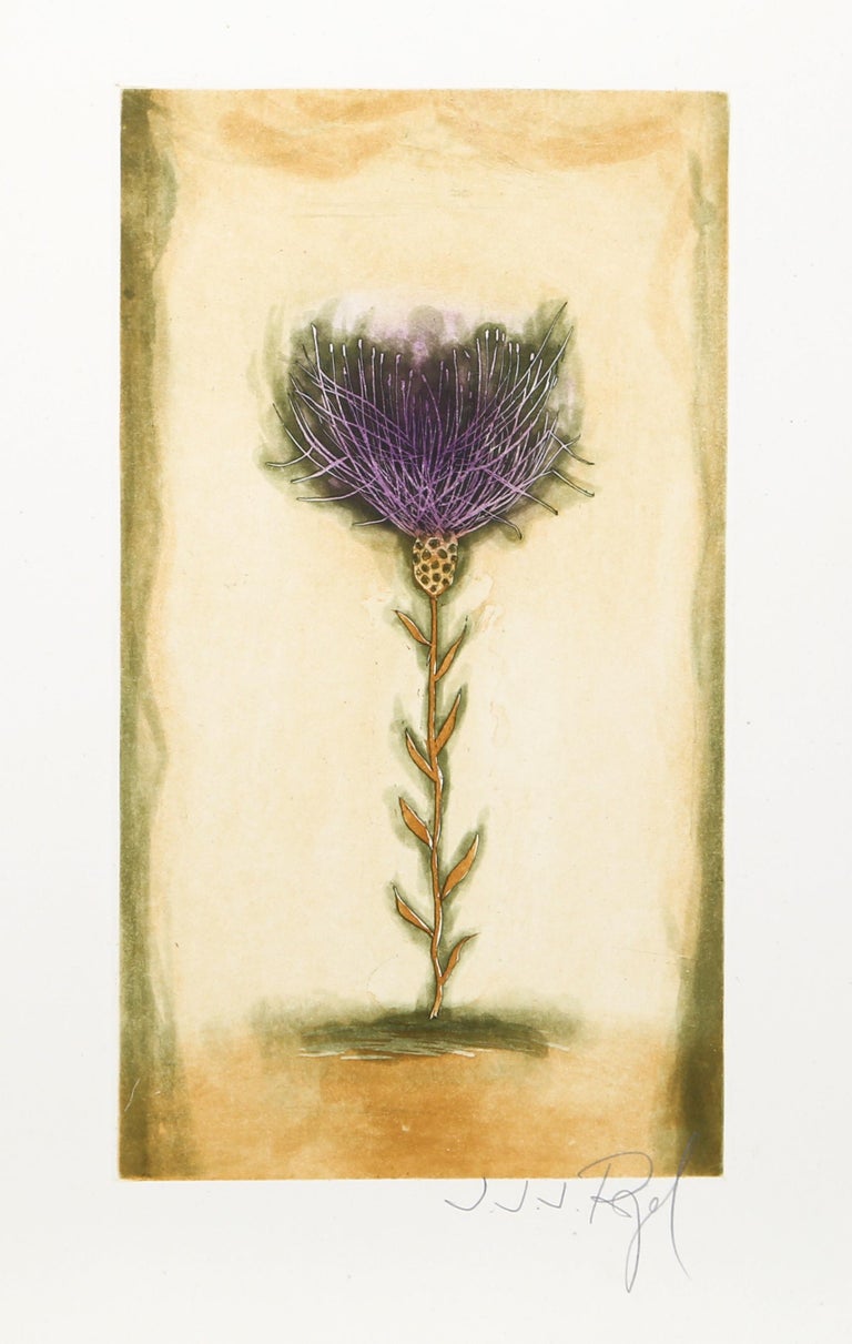 Jacques Joachim Jean Rigal - Herbier Portfolio For Sale at 1stDibs