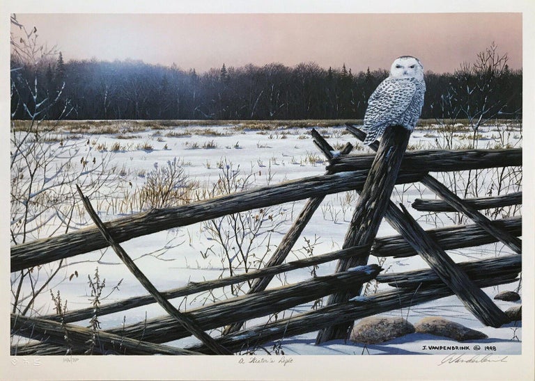 Jake Vandenbrink - A WINTER'S LIGHT For Sale at 1stDibs