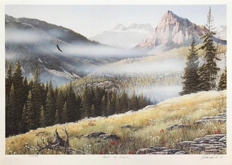 Jake Vandenbrink - ABOVE THE CLOUDS For Sale at 1stDibs