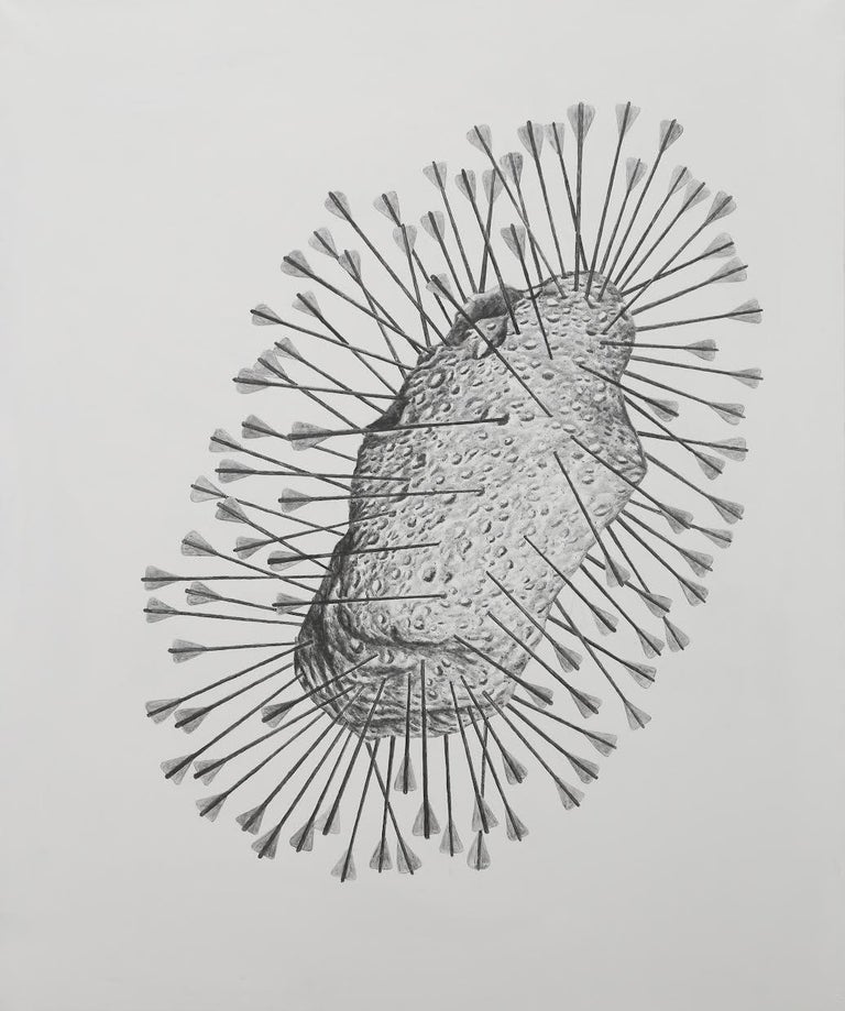 James Bonachea Guerra - Blanco Perfecto. From the series Plato’s Heaven ...