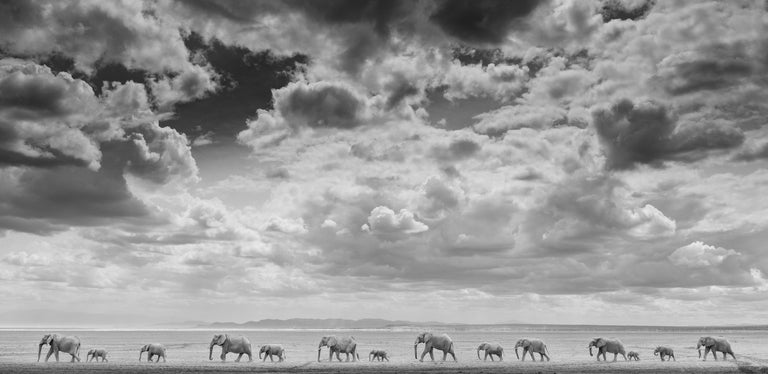 James Lewin - The Elephant Train (28"x57.52") For Sale at 1stDibs