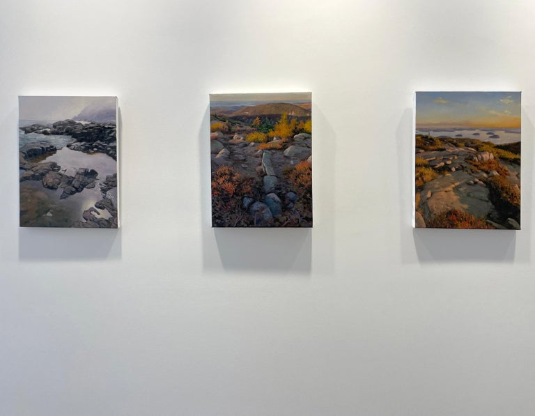 James Mullen - "Maine #7 (Hunters Beach, Acadia)," painting of coastal ...