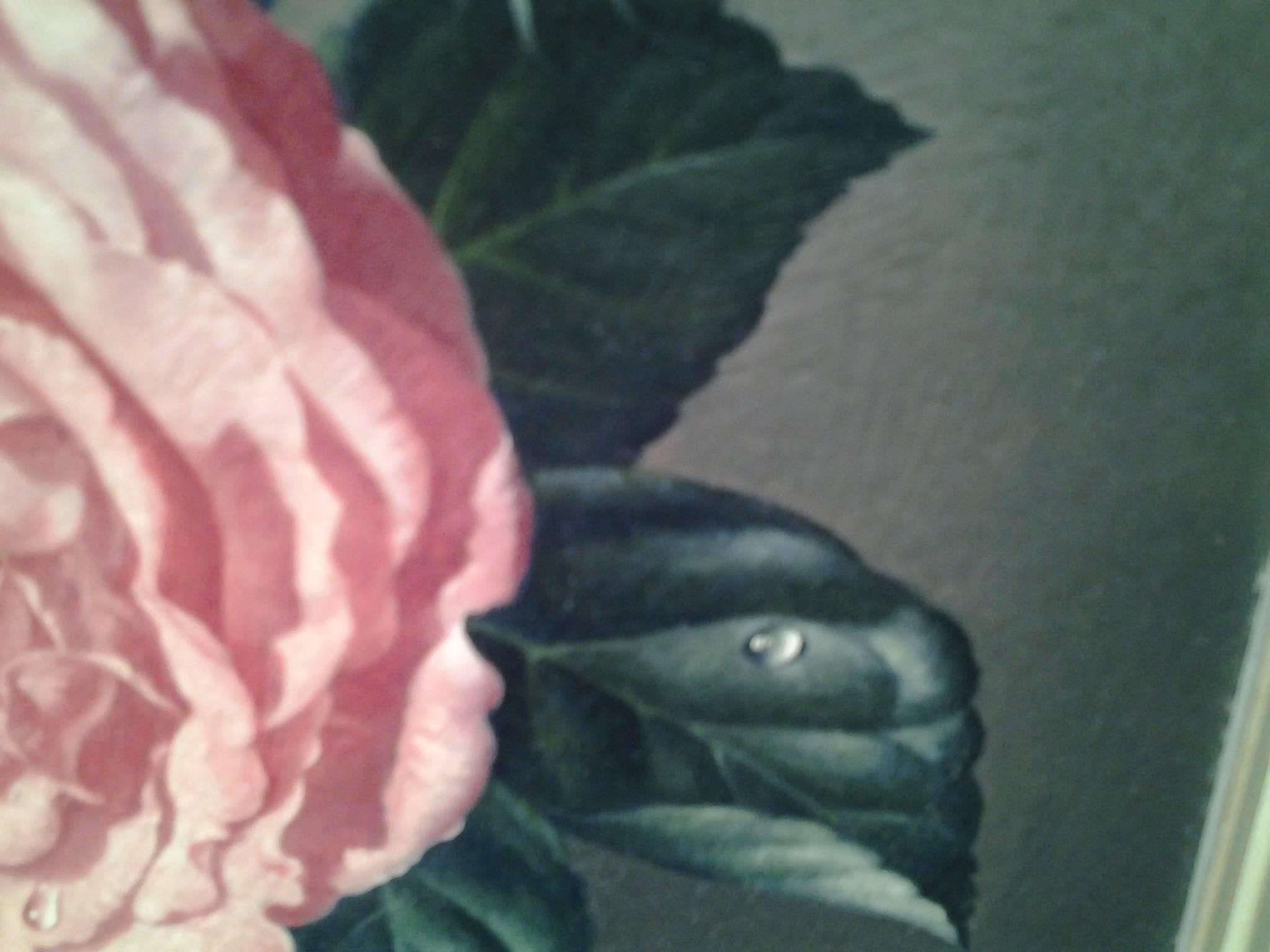 James Noble - Pink Roses with dew For Sale at 1stDibs | james noble ...