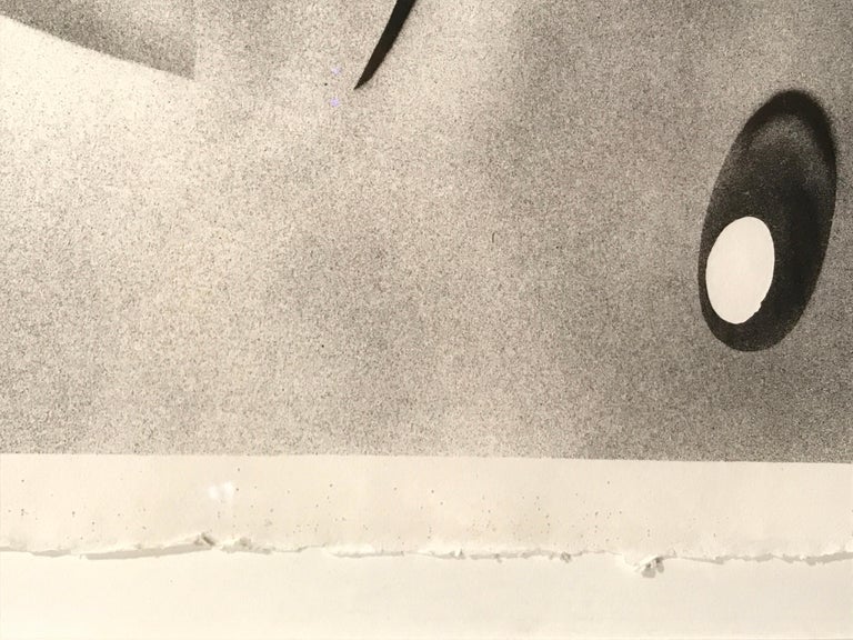 James Rosenquist - Zone at 1stDibs