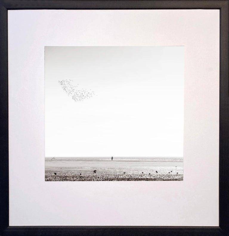 James Sparshatt - The Flock and The Fisherman by James Sparshatt ...