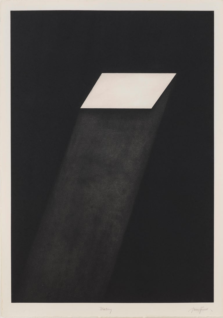 James Turrell - First Light (Meeting) at 1stDibs