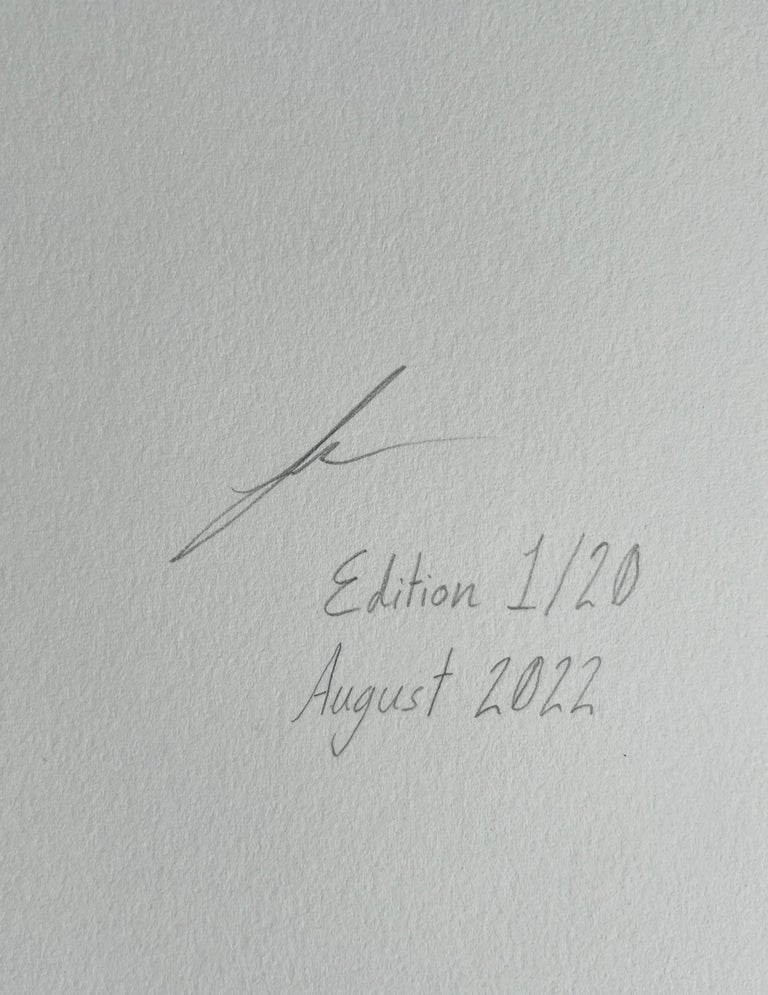 Digital Art Painting Vis Dev Animation 2D/3D Pinks Trees Lake Magical ...