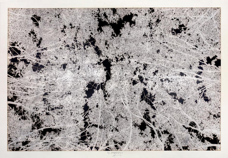 Jan Hendrix - Arboretum For Sale at 1stDibs