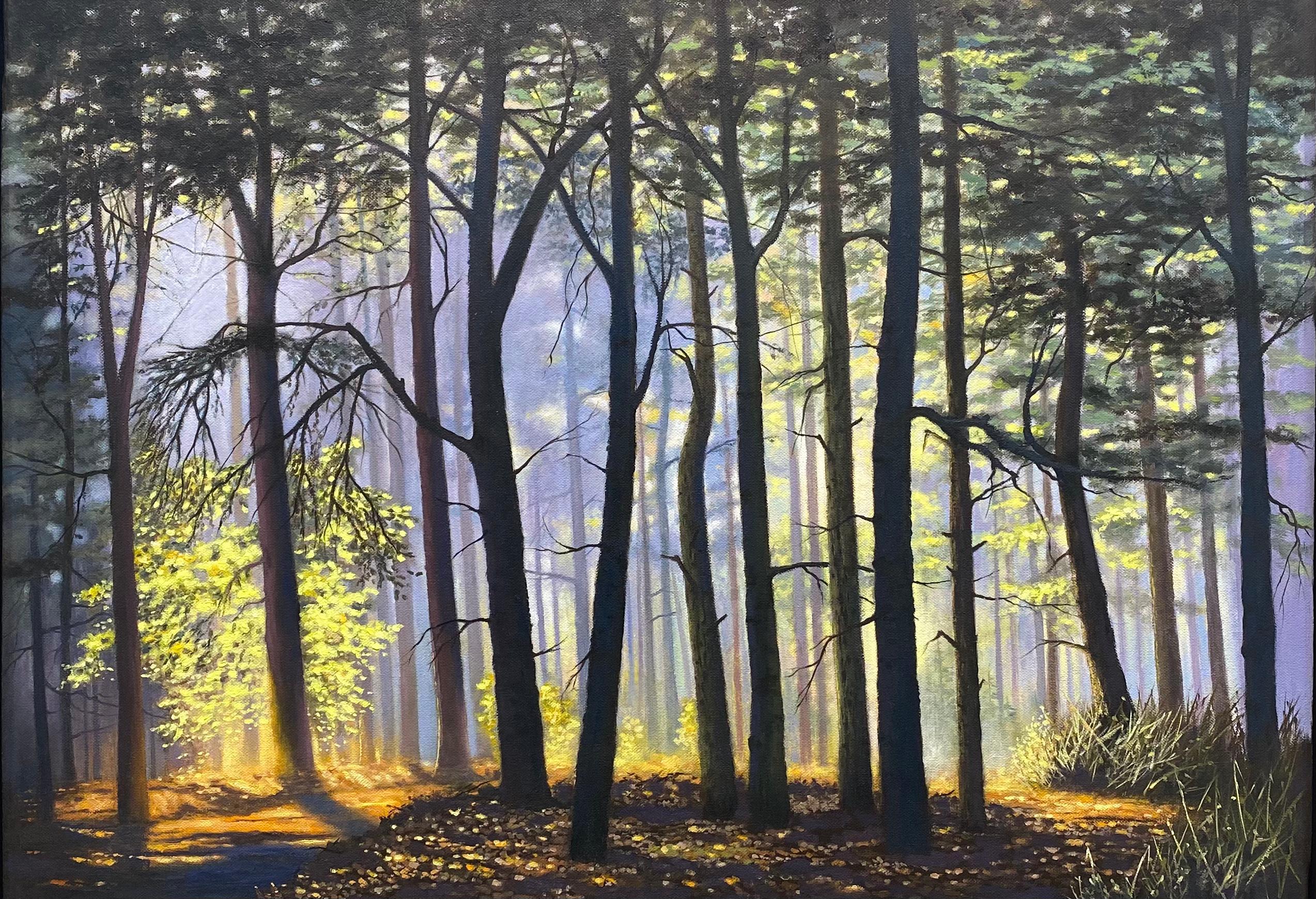 Jan Smits - Pine Trees 21st Century Contemporary Dutch Landscape ...