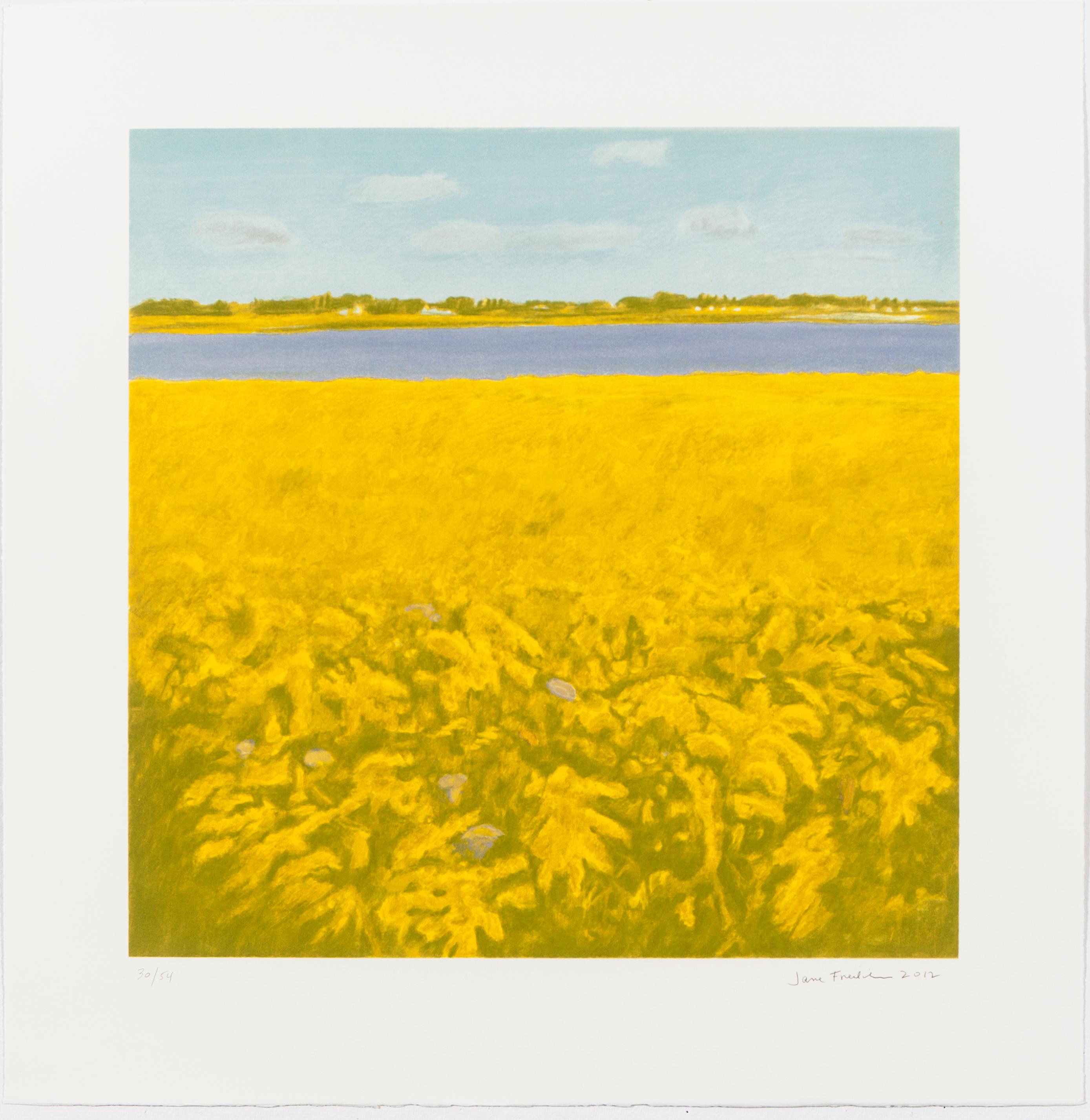 Jane Freilicher - At Night For Sale at 1stDibs