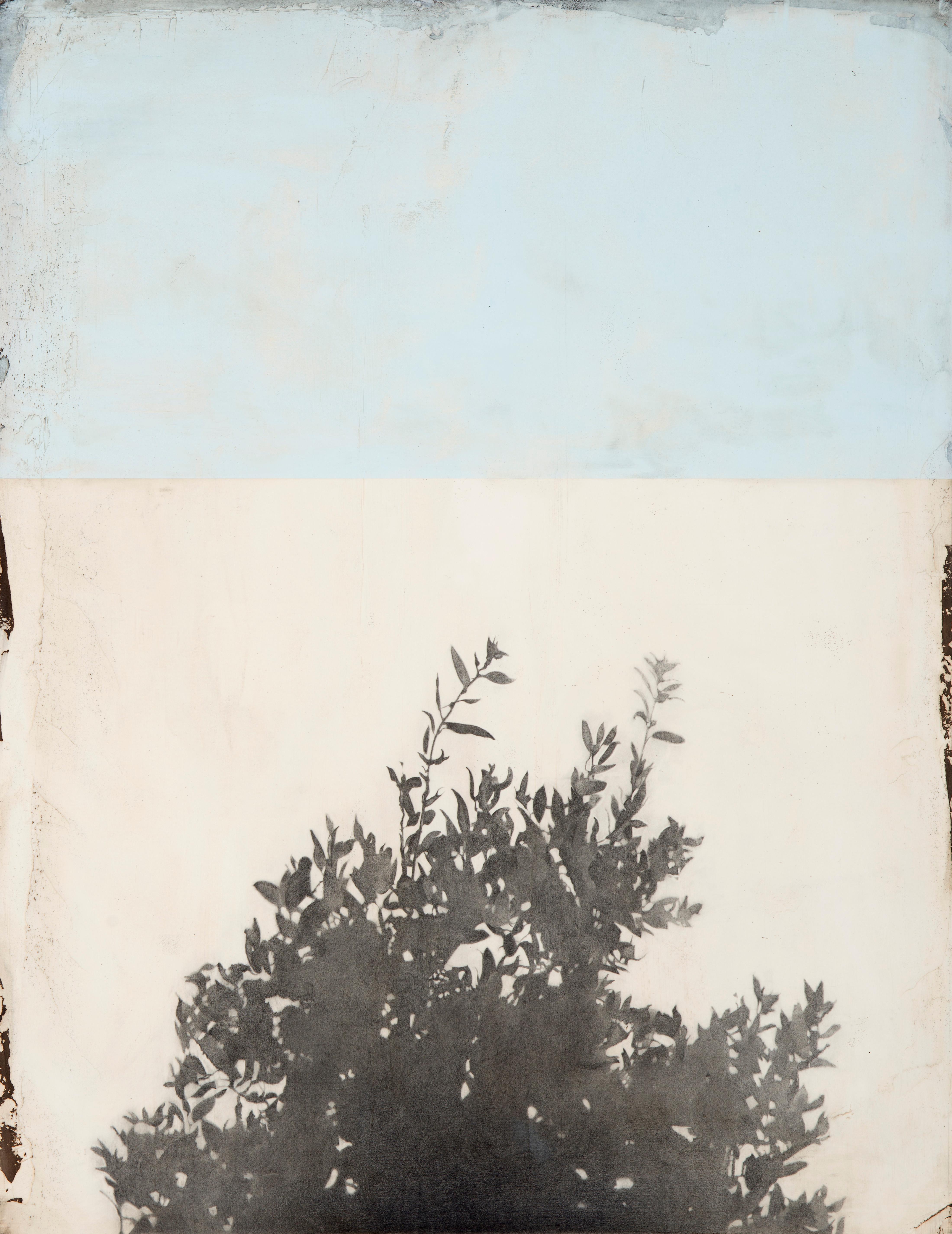 Eric Starosielski - Eric Starosielski, "Round and Round We Go #18 ...