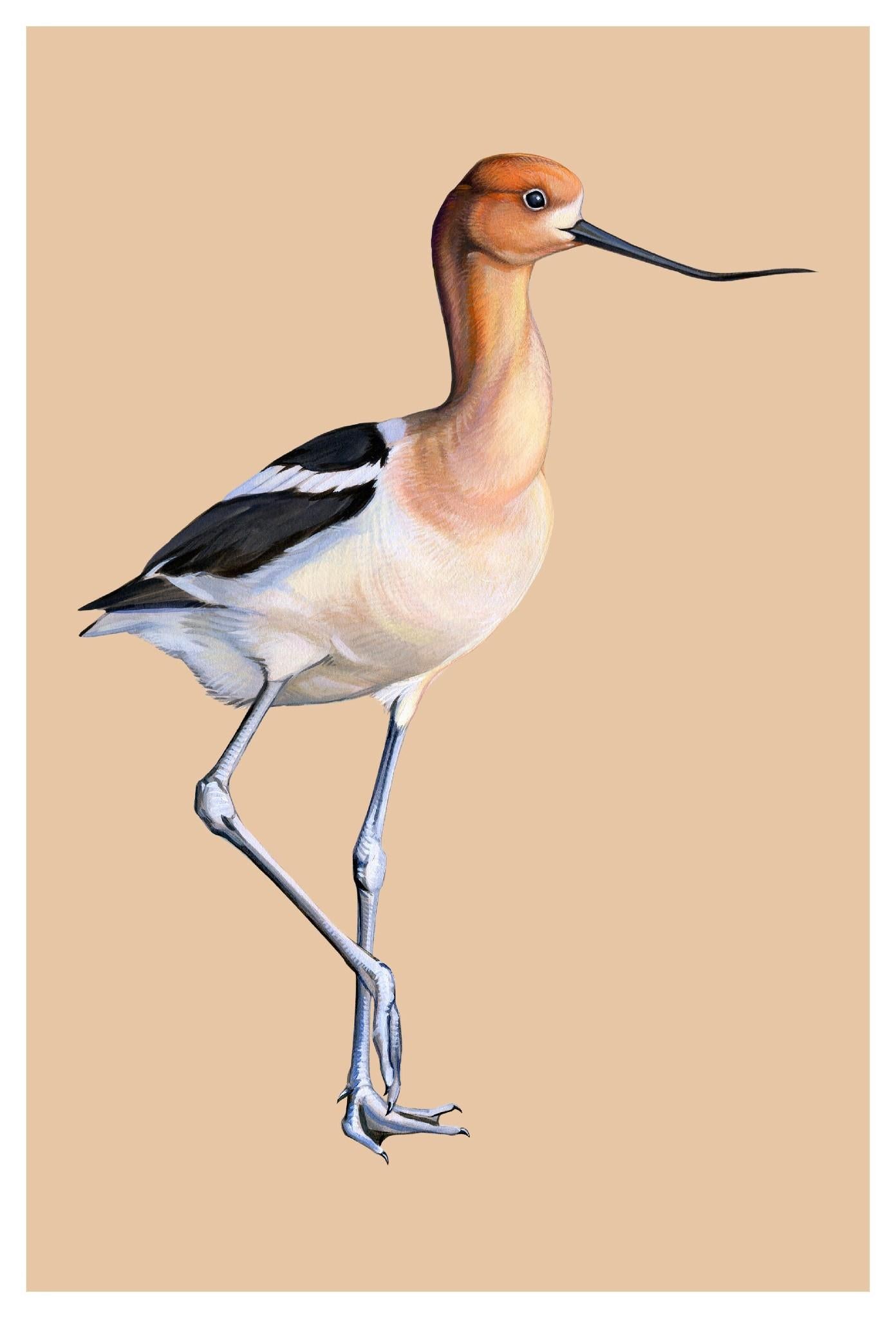 Jane Kim - The Innovaotors at 1stDibs