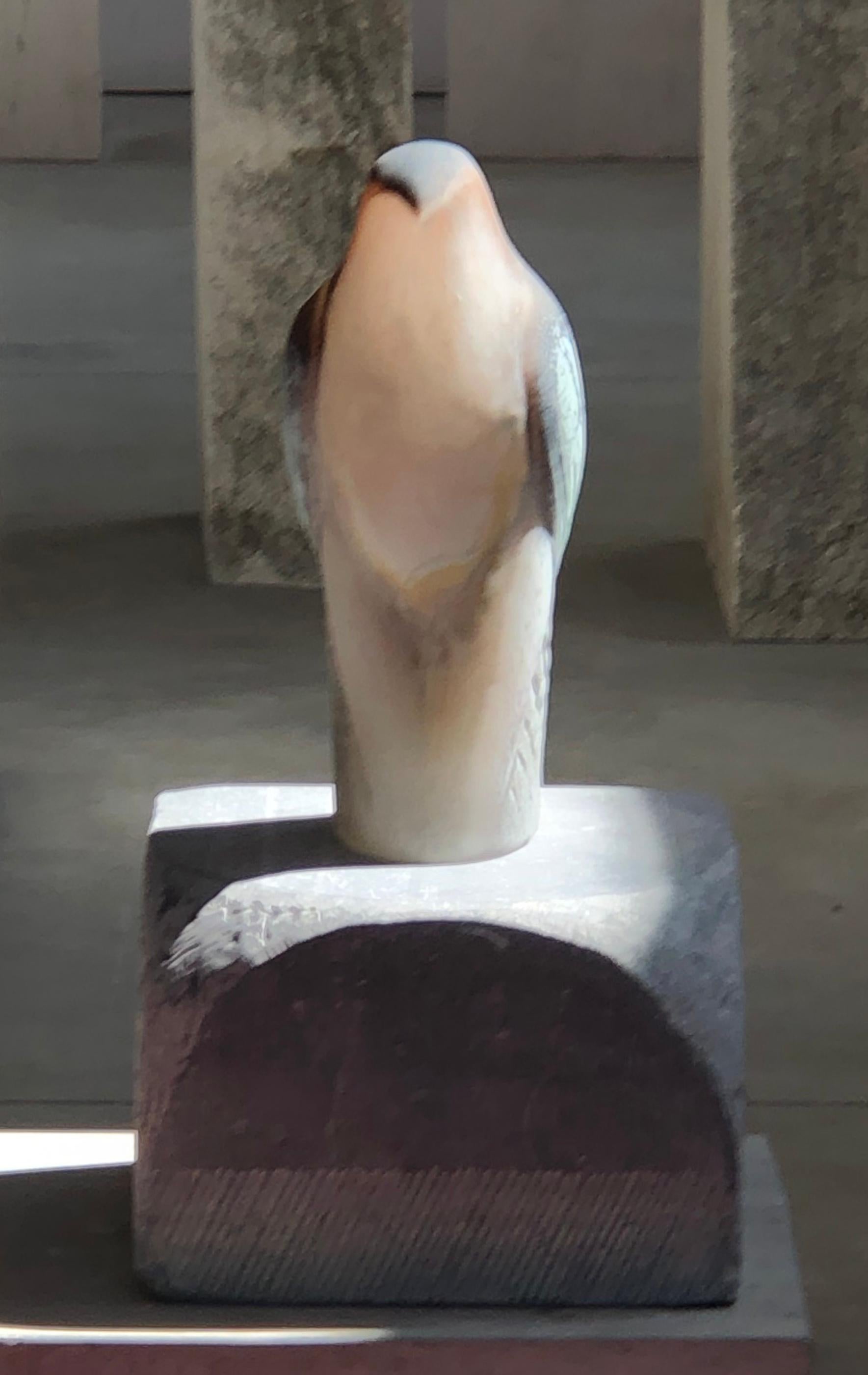 Jane Rosen - Monk Bird at 1stDibs