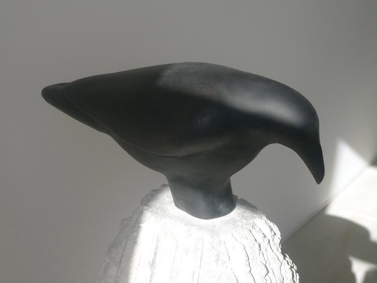 Jane Rosen - Raven on New Stone at 1stDibs