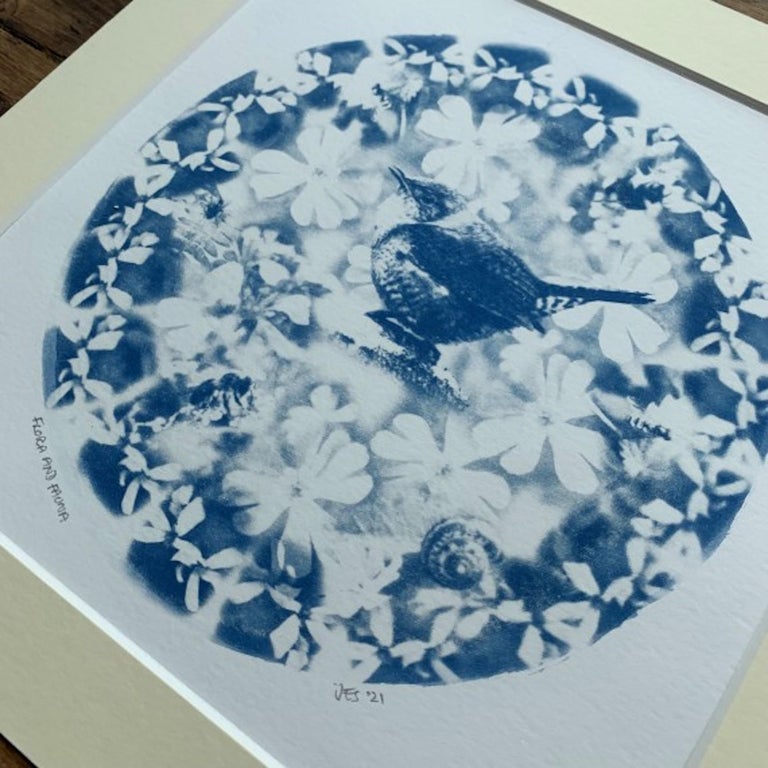 Jane Spink - Flora And Fauna, Jane Spink, Limited Edition, Bird ...