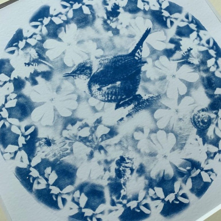 Jane Spink - Flora And Fauna, Jane Spink, Limited Edition, Bird ...