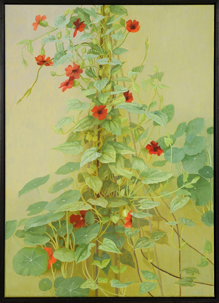 Jane Wormell - Black eyed Susan (Thunbergia) and Nasturtium Leaves For ...