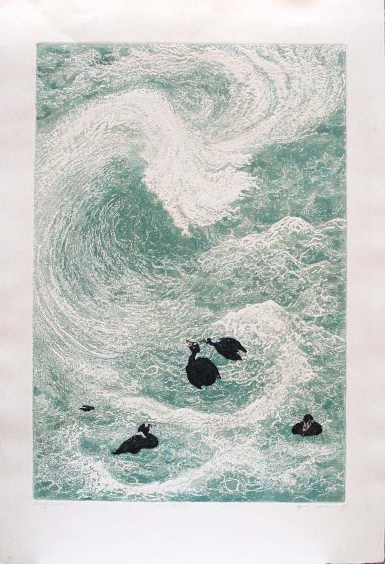 Janet Turner - "Surf Scoters," intaglio/serigraph print by Janet Turner ...