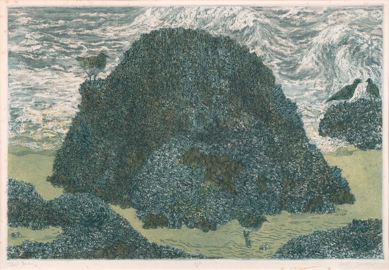 Janet Turner - "Tidal Rocks," Etching/Serigraph Print by Janet Turner ...