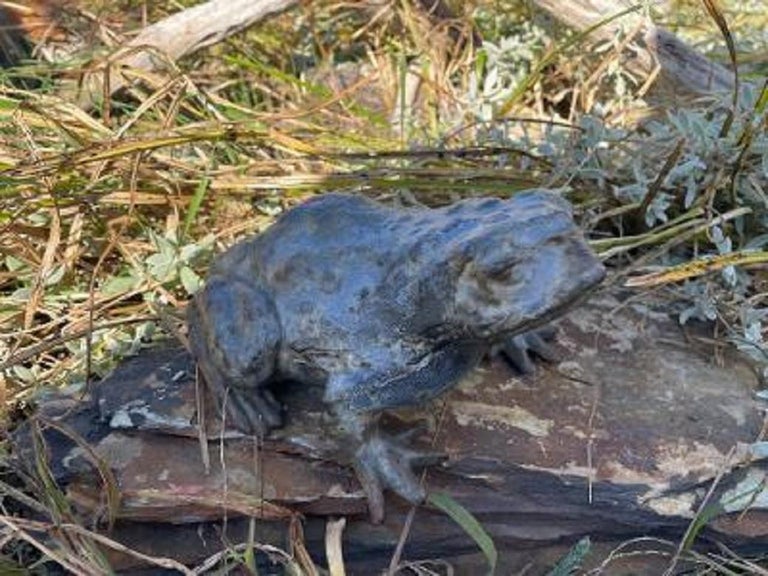 Japan Vintage Hand Cast Toad with Warts Kaeru For Sale at 1stDibs