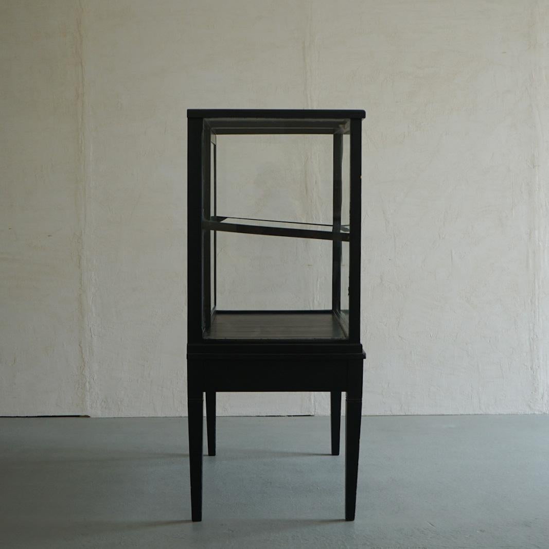 Japanese Antique Glass Display Case For Sale at 1stDibs